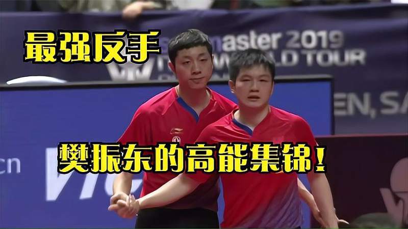 最强反手:樊振东高能七大精彩瞬间,教科书式的比赛!