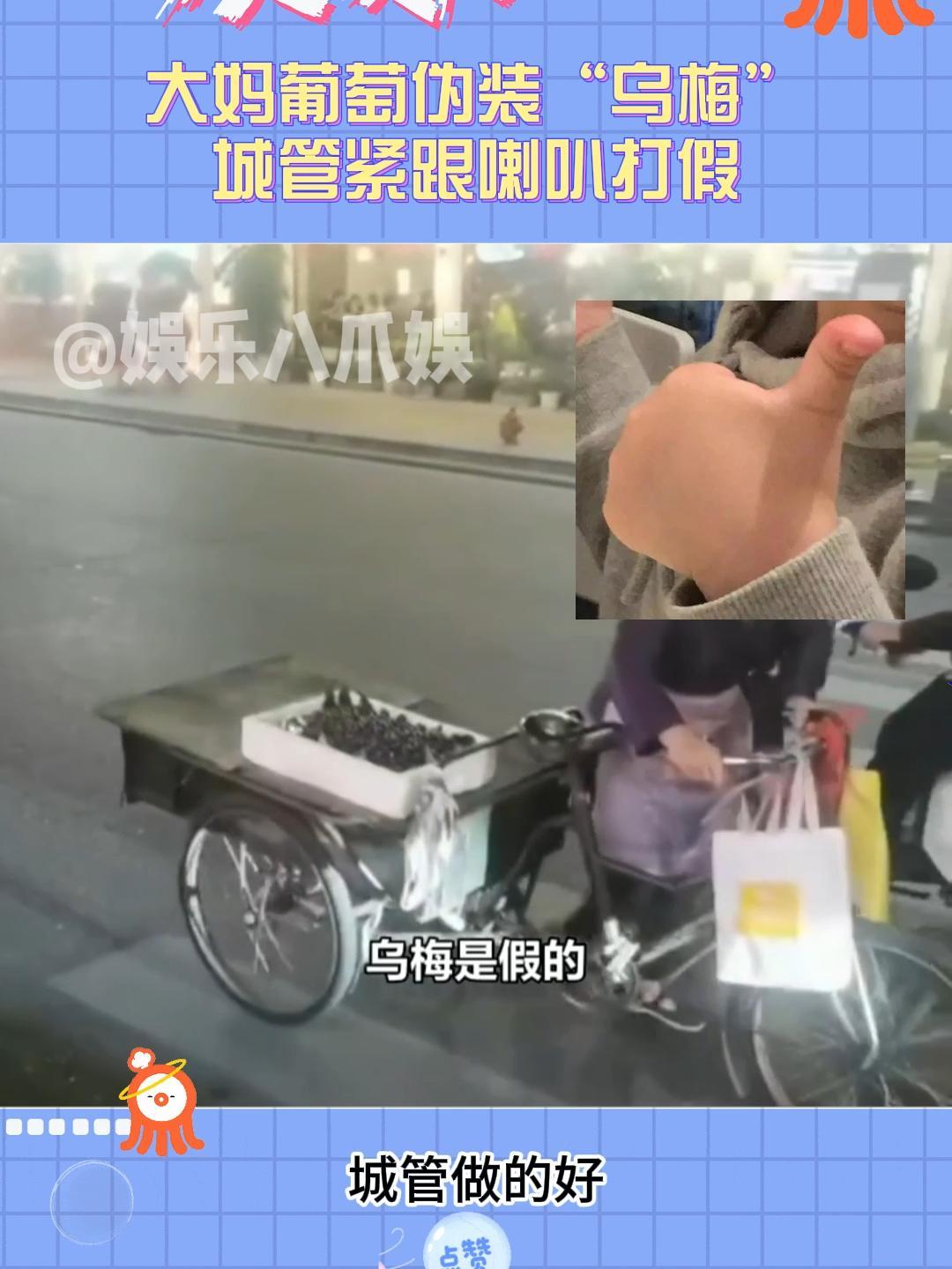 大妈葡萄伪装"乌梅"   城管紧跟喇叭打假 大妈葡萄伪装"乌梅"   城管...