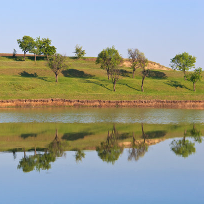 你别碰我会惊喜 