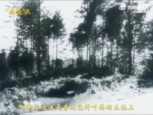 波兰卡廷森林惨案 怪不得波兰这么恨俄罗斯