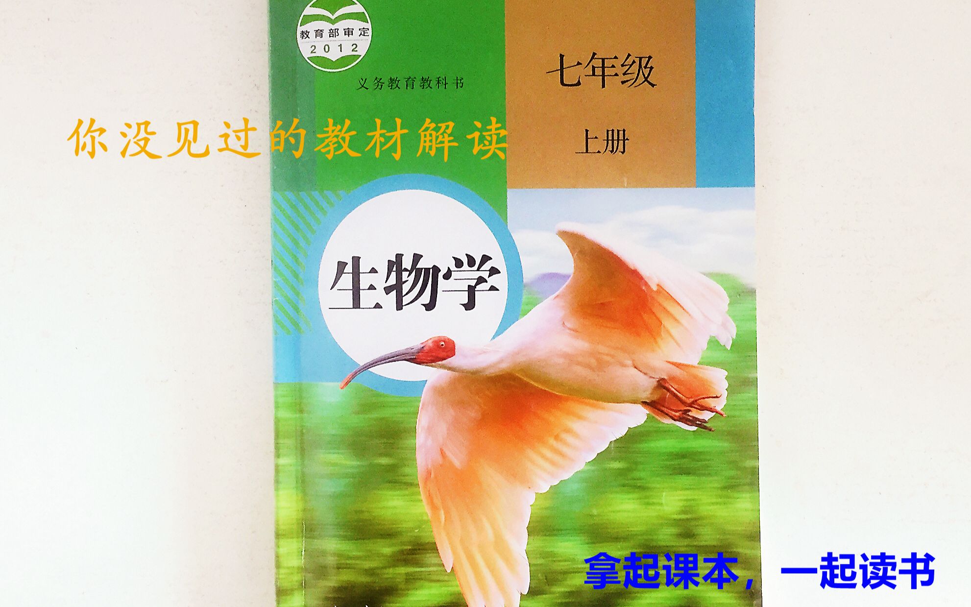 初中生物-七年级(上)2.2.3 植物体的结构层次