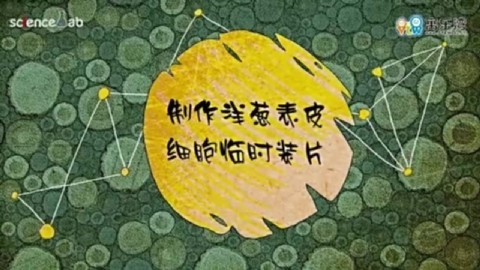 使用高倍显微镜 观察几种细胞