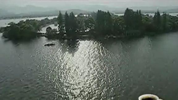 杭州小学生一年级居家实践活动 周三