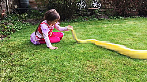 小女孩在草坪上,抚摸黄金大蟒蛇,镜头拍下全过程