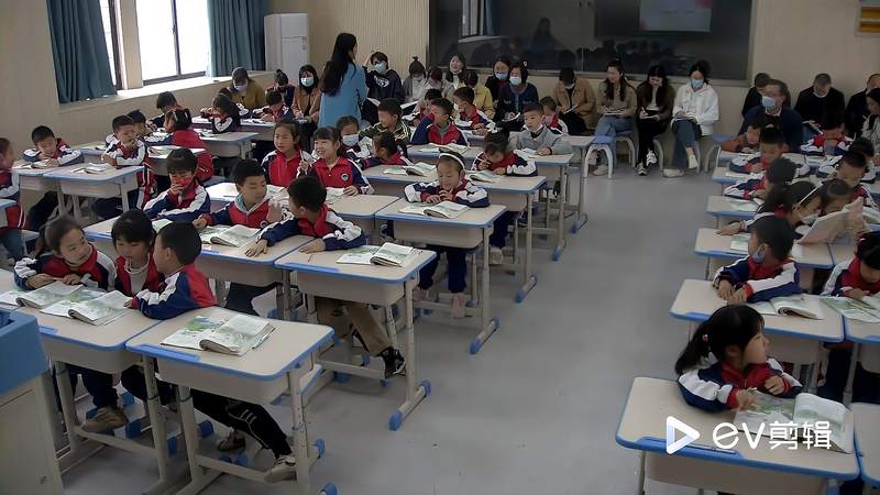 A7技术支持的总结提升——《荷叶圆圆》课堂实录