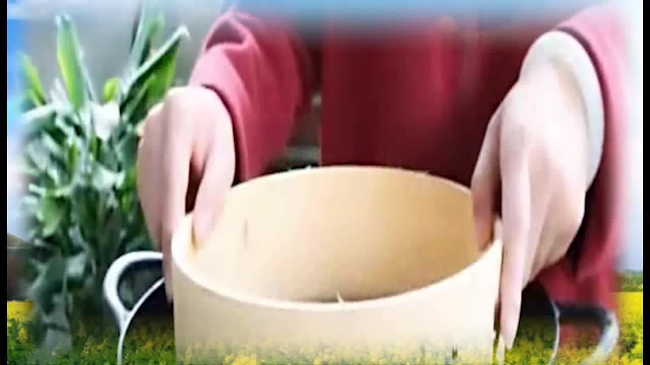 何首乌这样做涂到头发上,3小时白发自然变黑,再也不用染发了!