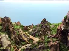 07day造景 水草缸 松皮石开缸