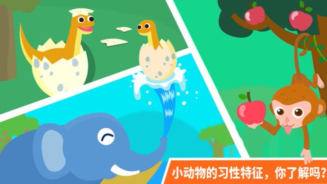 跟着小海豚一起来进行顶篮球表演吧!