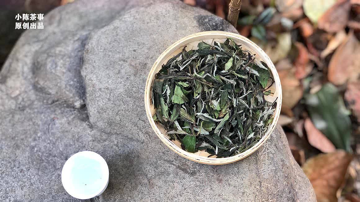 在白茶区混了这么久,懂得如何选白茶吗?这三大误区你踩雷了吗?