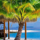 育儿教育小经验 