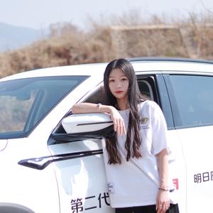 宣威昇达长安汽车 