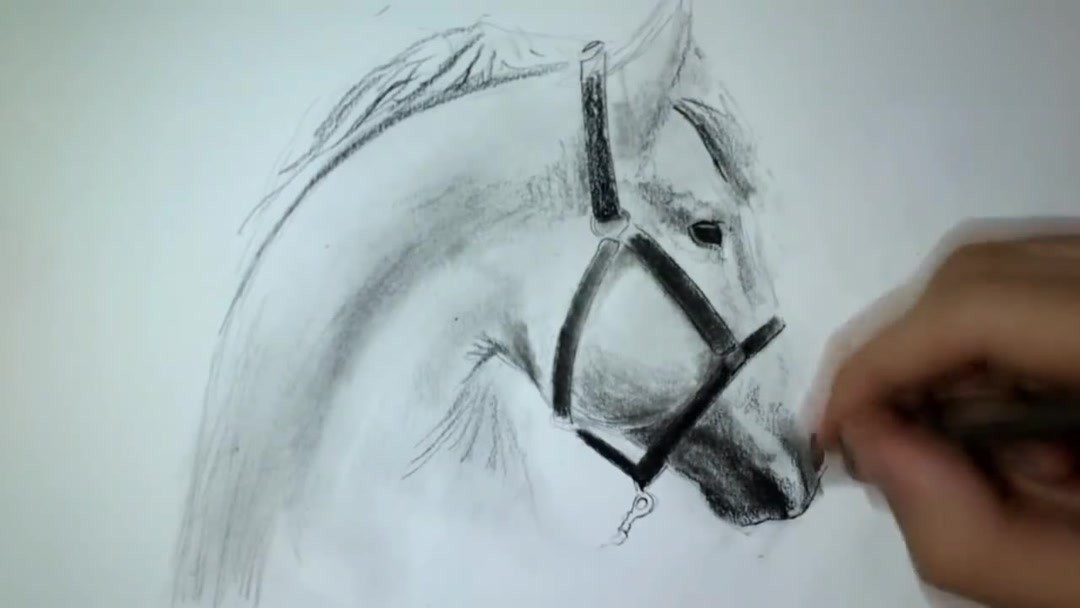 大师用铅笔画了一匹白马,形象矫健俊美,别具风姿,画得真好!