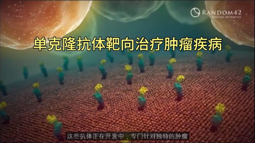 单克隆抗体如何靶向治疗肿瘤疾病