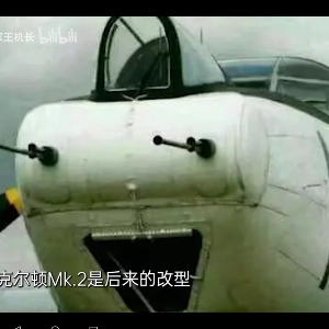 一只文明的猿猴 