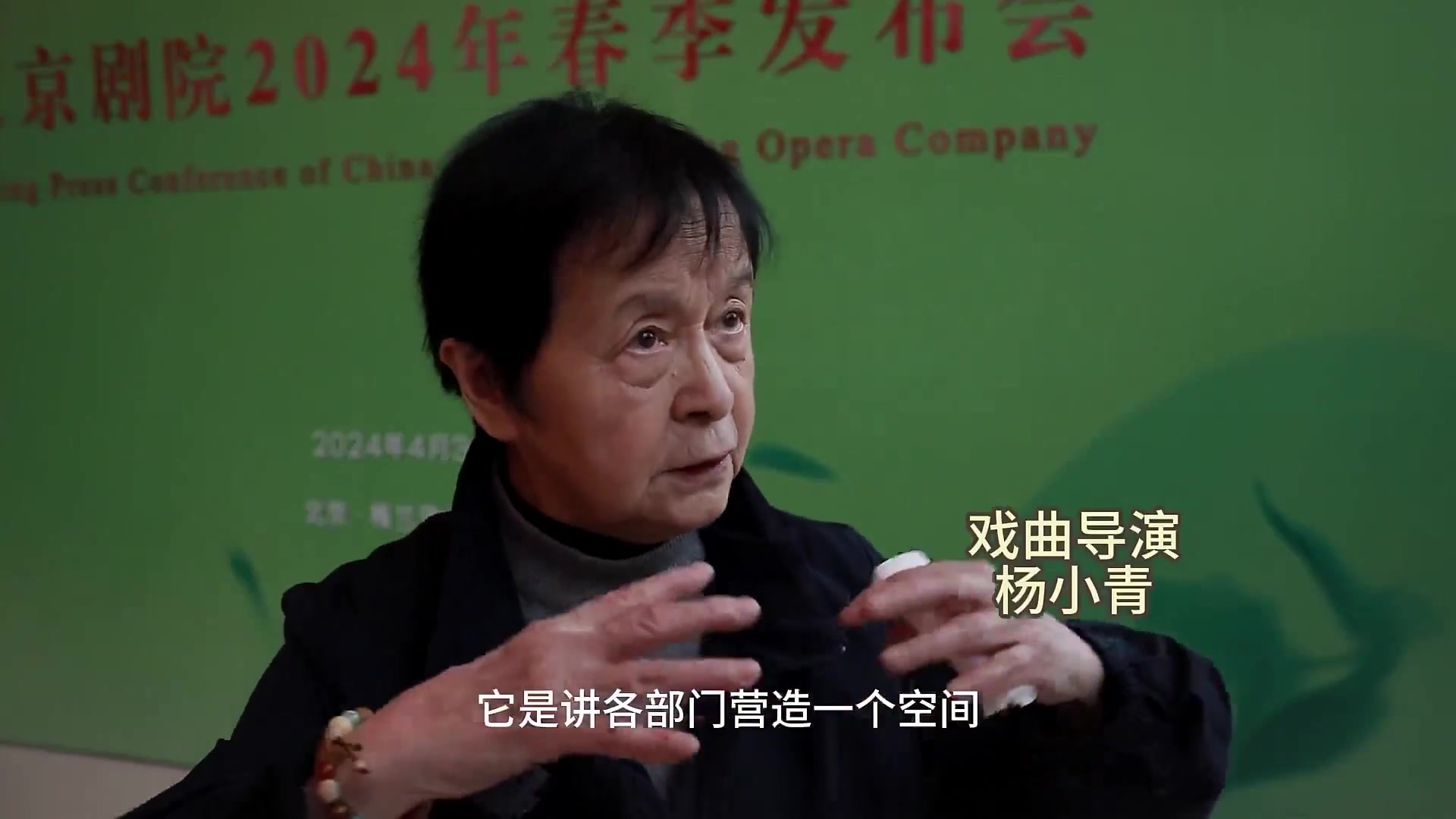 戏曲导演杨小青:要做扎扎实实的传统戏曲让它走向现代