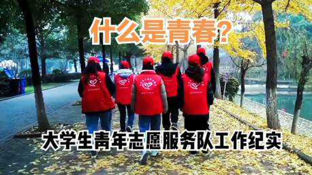 工作纪实:大学生参加志愿服务队两年,会经历些什么?