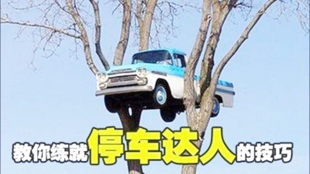 实用又简单的停车技巧,新手停车再也不担心被剐蹭、停不进去了!