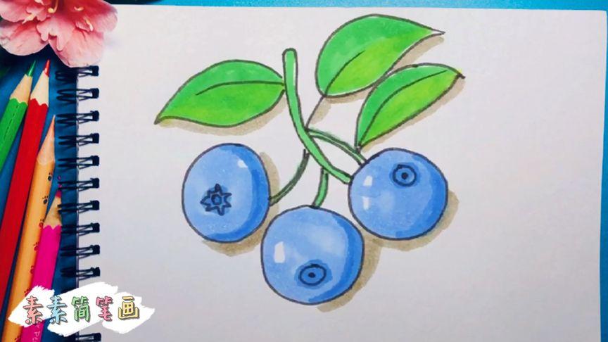 儿童亲子简笔画入门,水果系列,画美味的蓝莓
