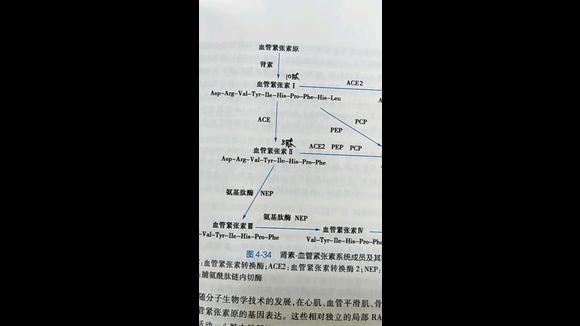 血管紧张素转换酶抑制剂ACEI与血管紧张素受体抑制剂ARB类药理