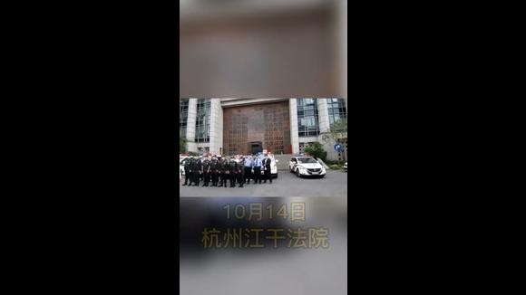 开展发挥执行职能、做好“六稳”、落实“六保”任务专项执行行动