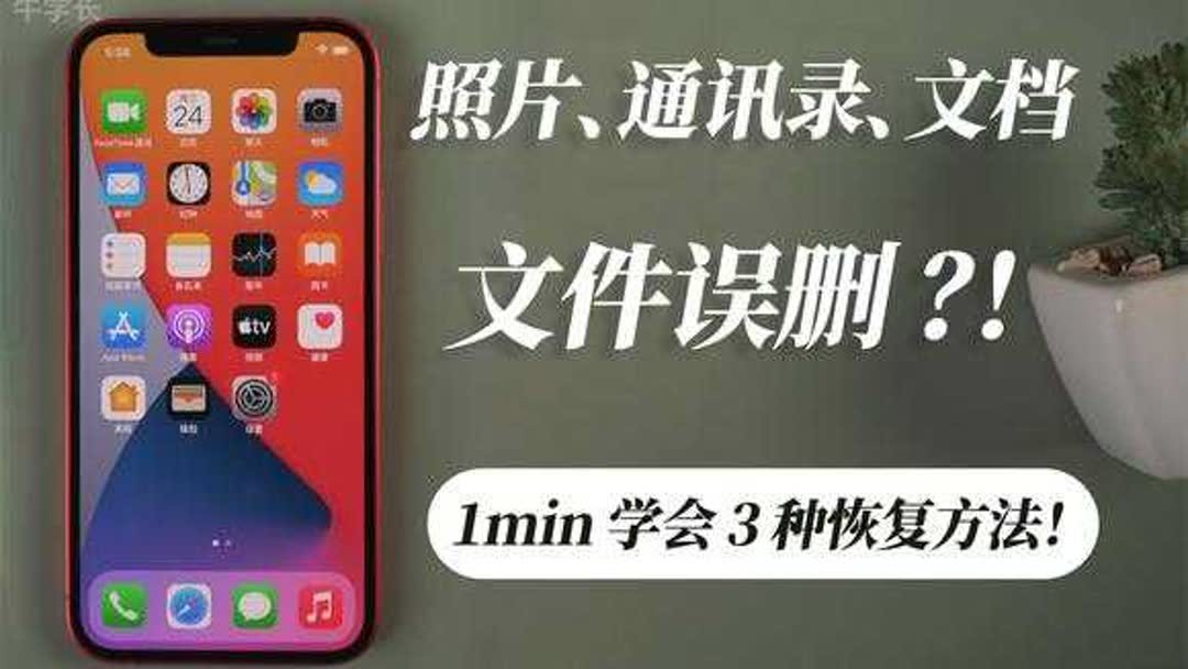 苹果手机文件误删怎么恢复?1min 学会这3种方法,教你免费找回!