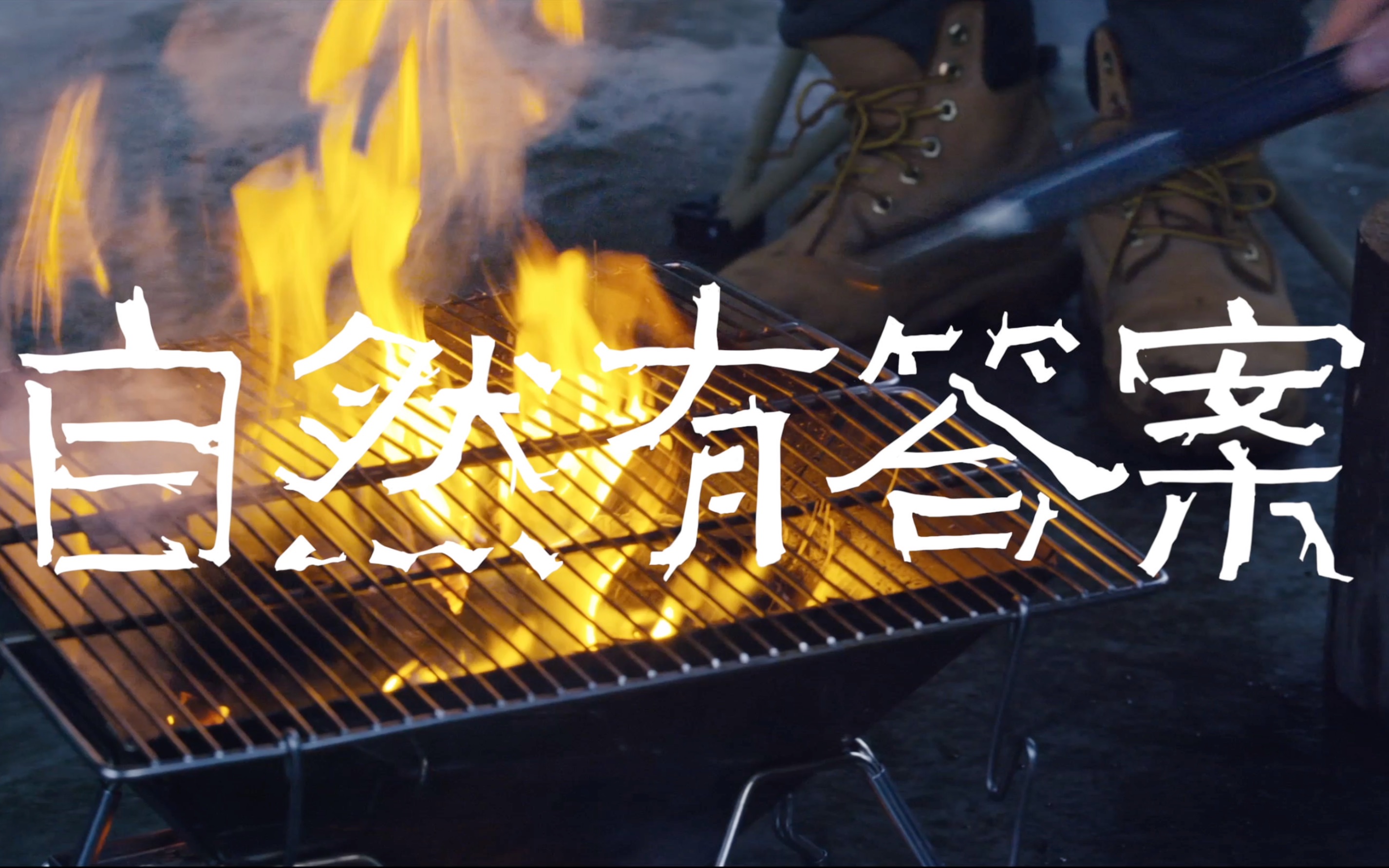 《自然有答案》——抖音用户故事纪录片/动植物日策划