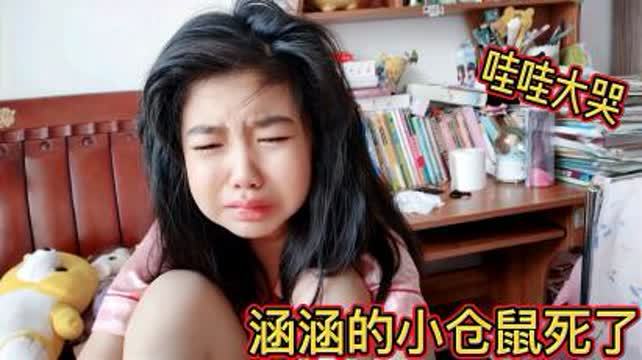 涵涵的小仓鼠死了,伤心的哇哇大哭,妈妈带她喂兔子瞬间开心起来