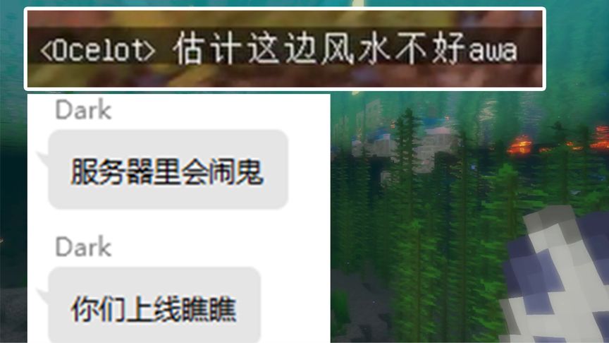 玩家:咱服务器里闹鬼了? 我的世界