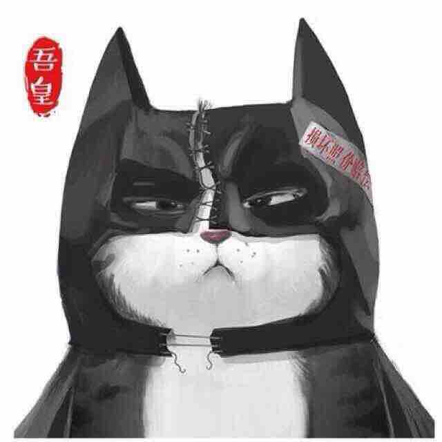 时光易逝影像长存 