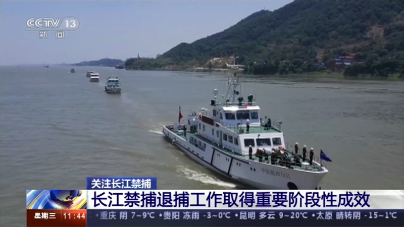 [新闻直播间]关注长江禁捕 长江禁捕退捕工作取得重要阶段性成效