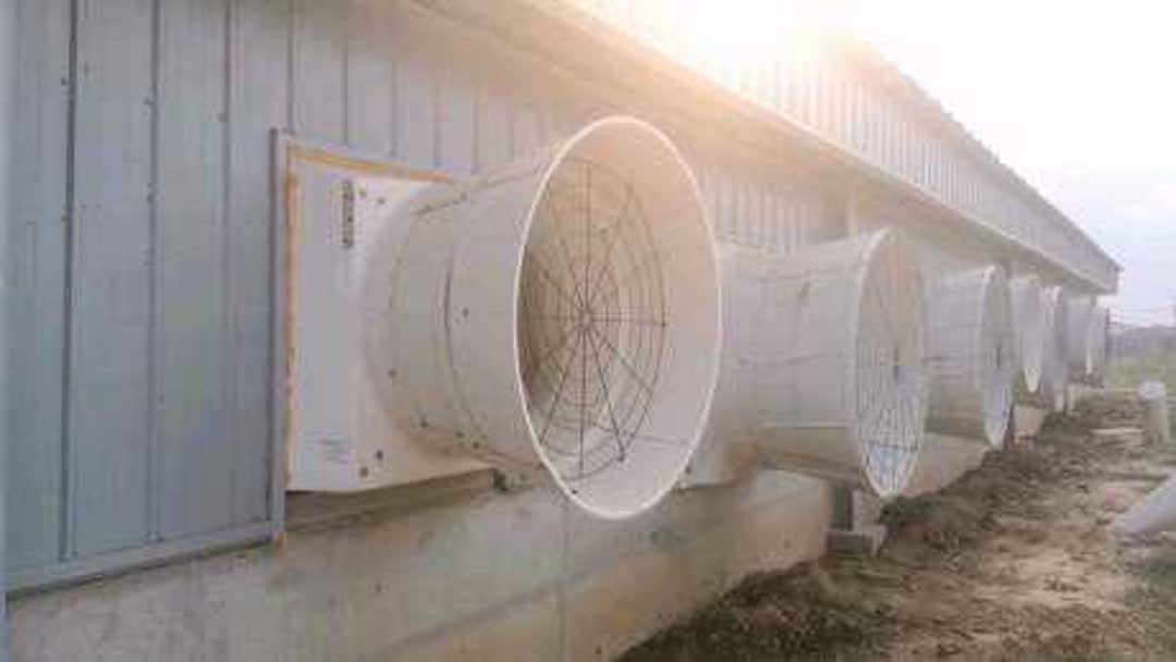 养猪赚钱,带你参观自动化猪场,看都有什么设备