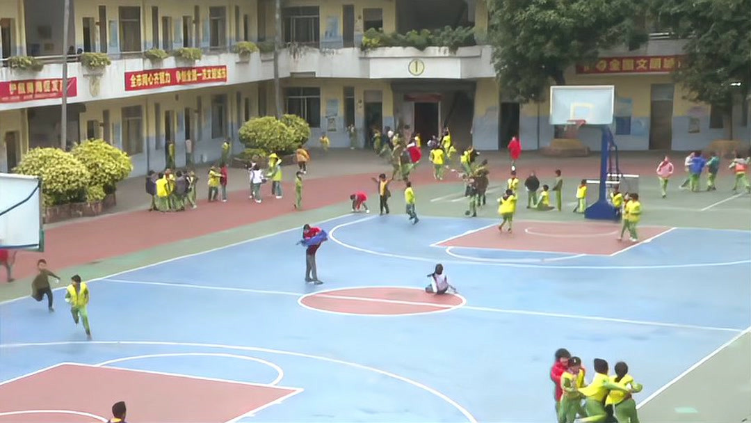 南海区义务教育公办学校预报名开始