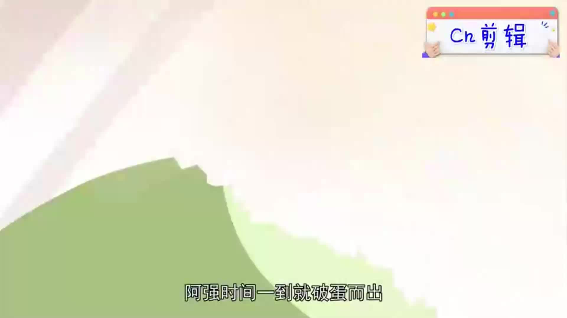 小苍蝇生命只有一分钟,于是他用一秒谈恋爱,两秒钟繁殖后代