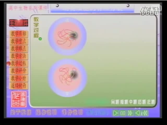 细胞的分裂、生长和分化