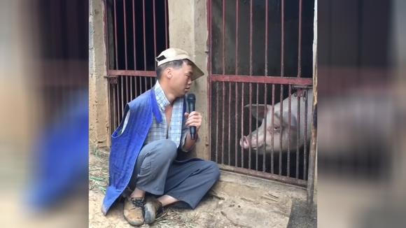 农村小伙对猪唱歌,猪哭了