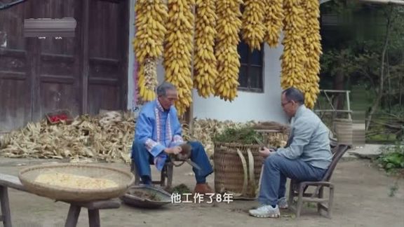 黄连:清热燥湿,泻火解毒