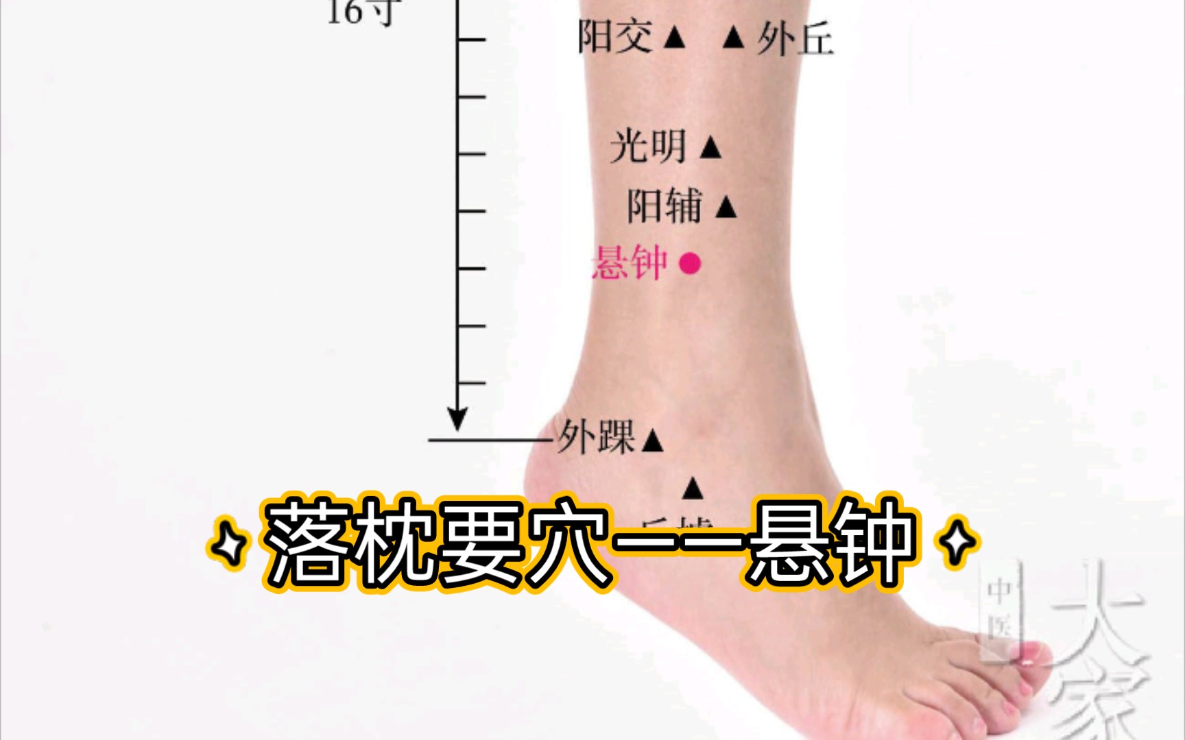 2.落枕要穴——悬钟