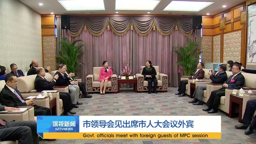 市领导会见出席市人大会议外宾