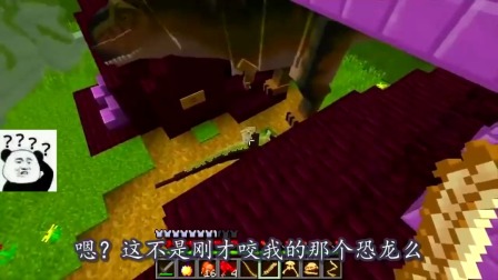 MC我的世界:可以通往三个不同世界的传送门,你会选择哪个?