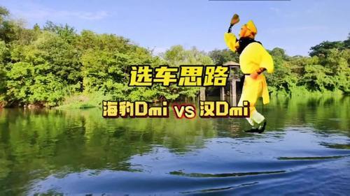 海豹dmi VS 汉dmi、唐dmp战神版 VS 腾势N8(一)#比亚迪汉dmi