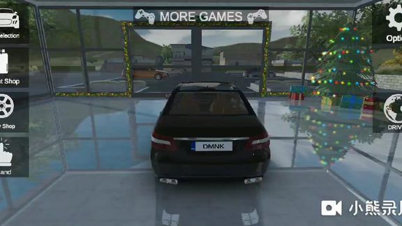 游戏叫欧洲。汽车模拟器。