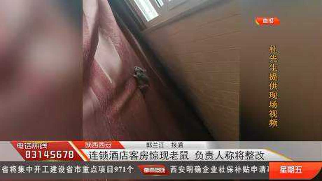 这谁敢住?西安一连锁酒店客房老鼠爬上窗帘……