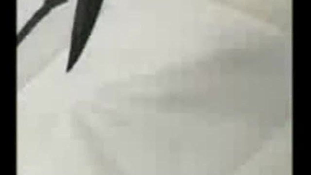 小学硬笔书法教程