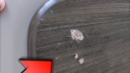 上海修复实木家具木地板楼梯开错孔膨胀丝孔磕碰掉漆蚊香烧坏开裂