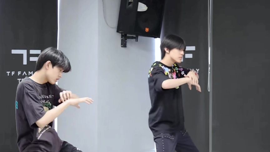 进化论会有双人舞台的对吧ߑ�ߏ�#张极张泽禹 #极禹 #tf家族