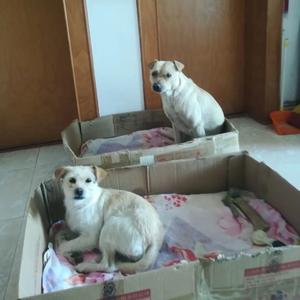 辉燕的幸福生活 