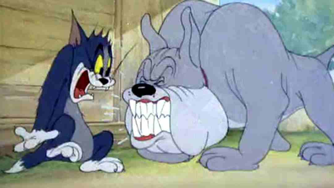 猫和老鼠全集第77集