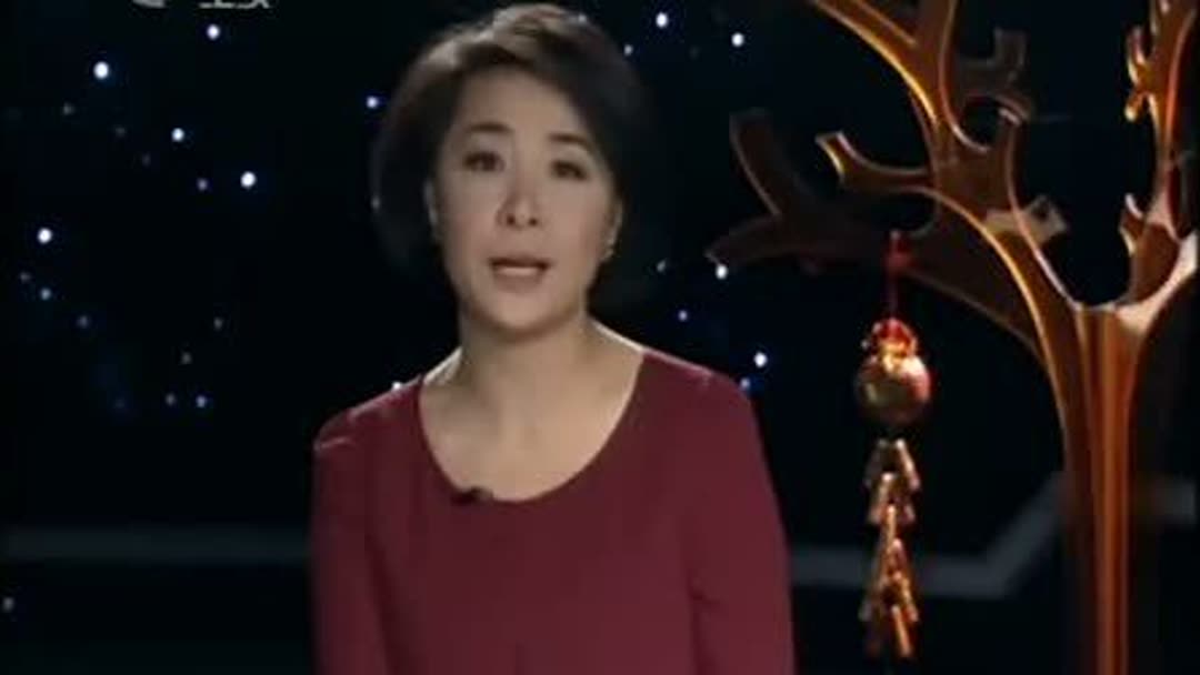 梁思成 林徽因(8)