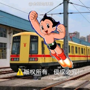 金刚地铁粉 