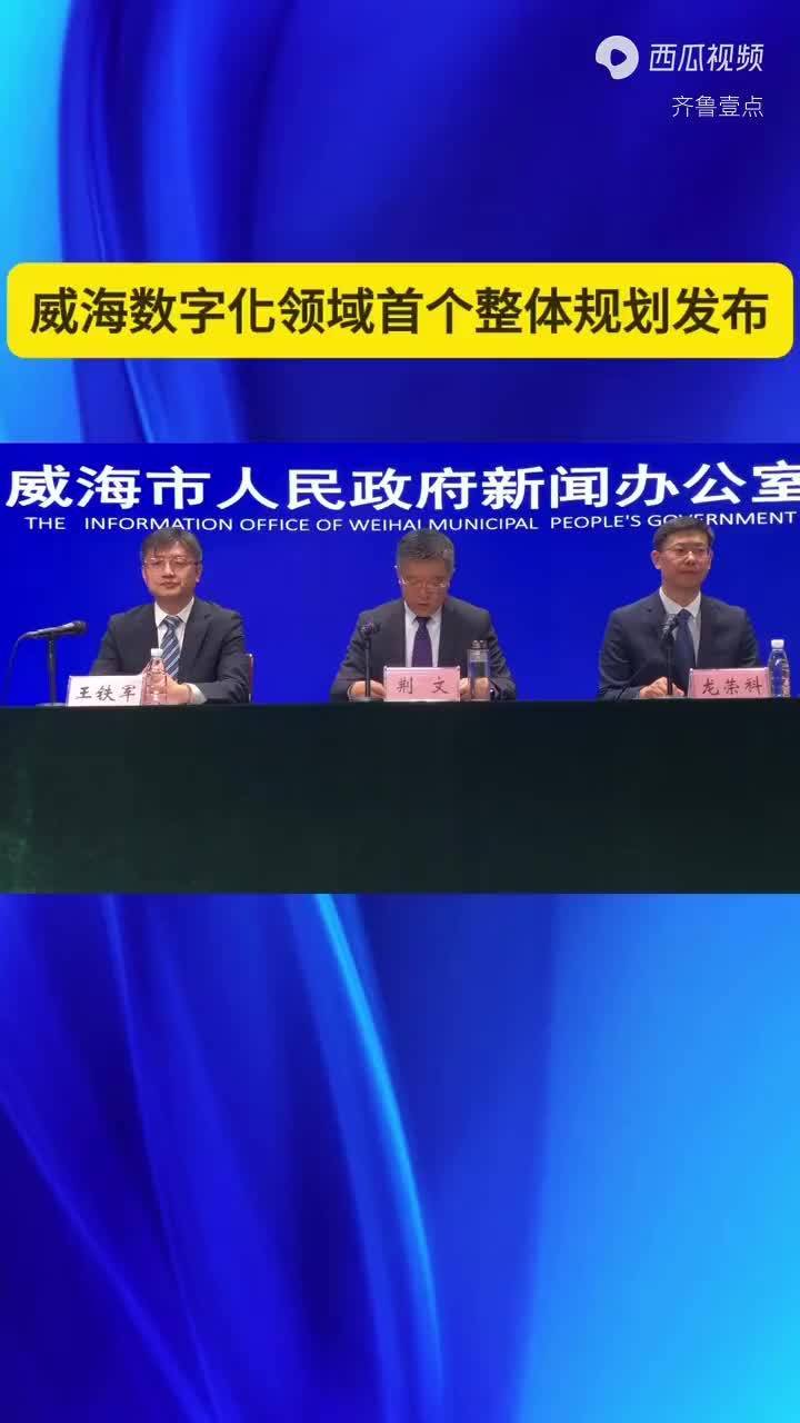 果然视频|威海数字化领域首个整体规划发布